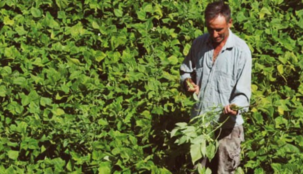 Negroni Week Partners - Slow Food, Imbibe, and Campari
